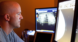 Mount Pleasant Hospital | Roper St. Francis, Mt. Pleasant, SC - Roper ...