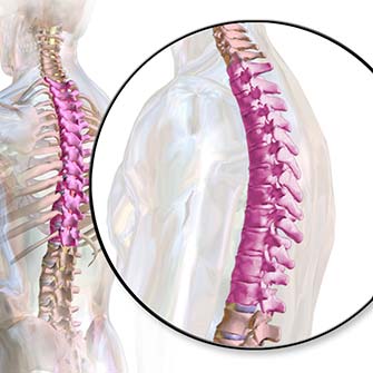 Spine and Back Services – Spine & Back Surgery - Roper St. Francis